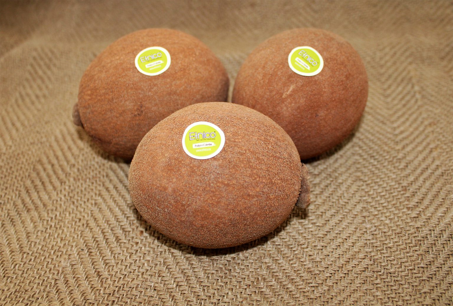 Conoce los beneficios del consumo del Zapote - Etnico - Cosechamos ...