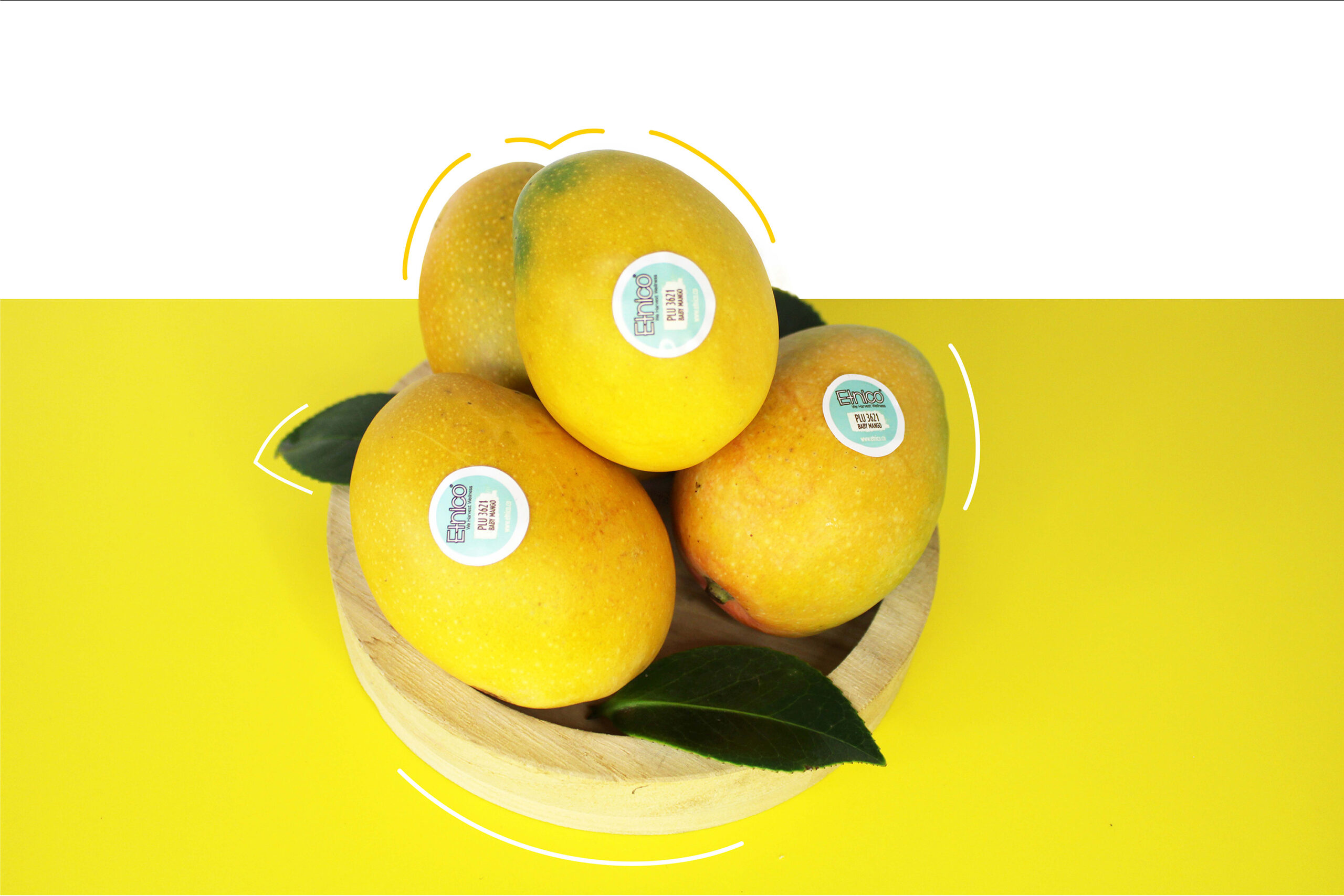 Beneficios del Mango para la Salud - Etnico - Cosechamos bienestar