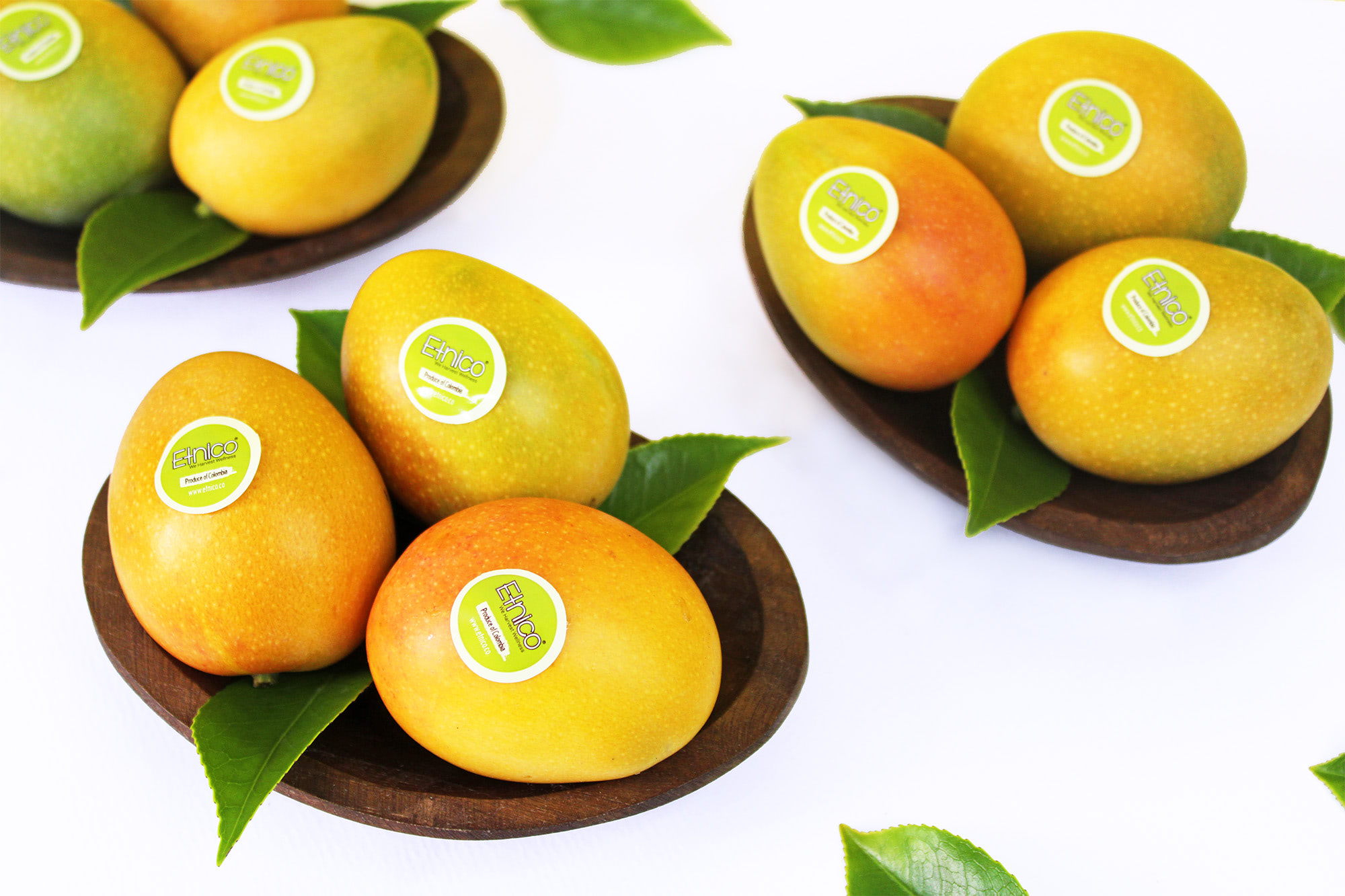 Mango de Azúcar Colombiano - Etnico - Cosechamos bienestar